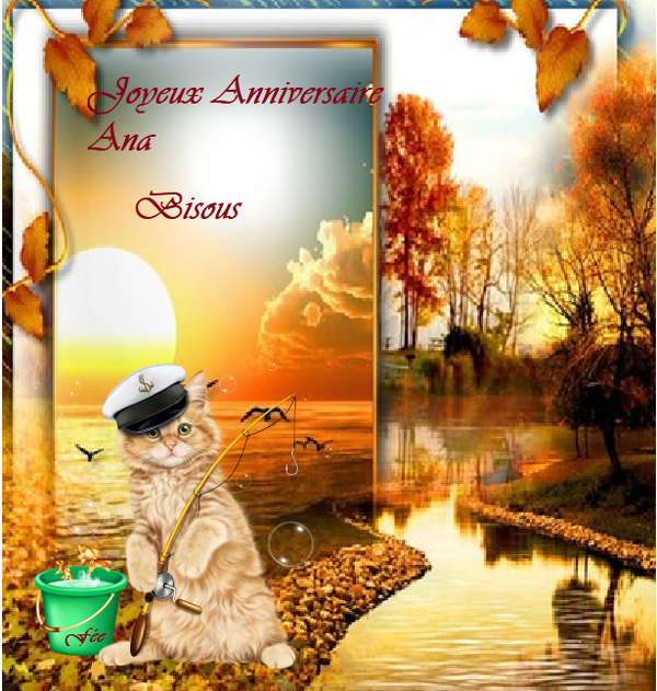 Joyeux Anniversaire Ana